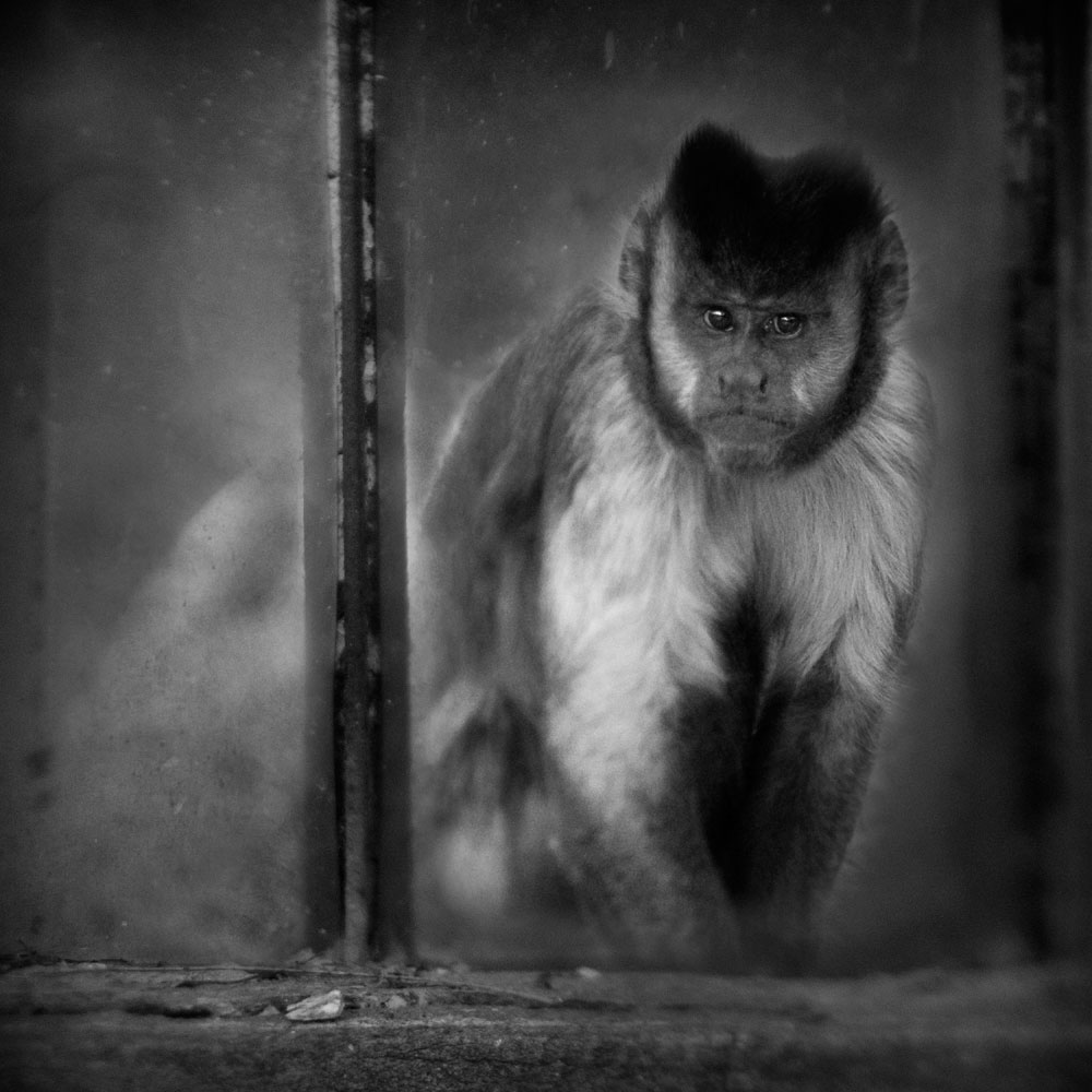 Anne Berry Gallery – RFOTOFOLIO