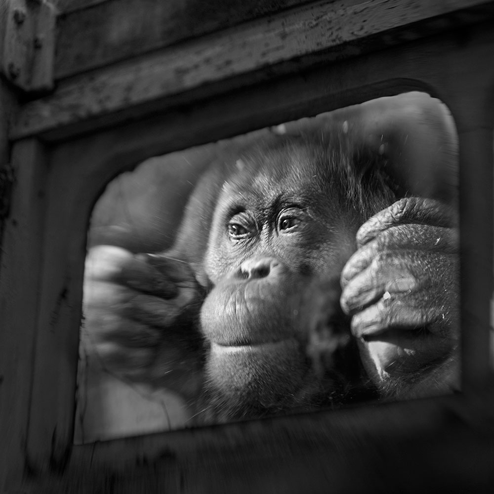 Anne Berry Gallery – RFOTOFOLIO