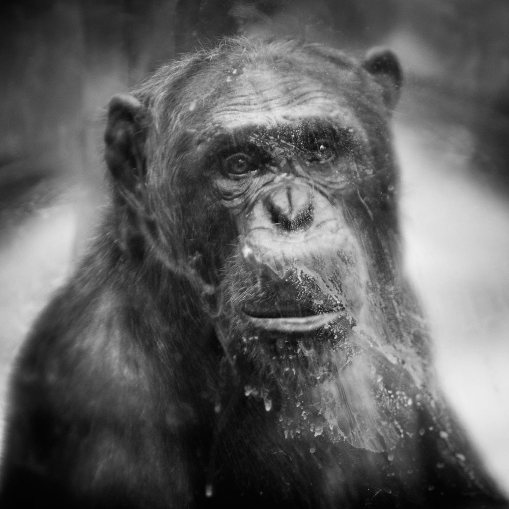 Anne Berry Gallery – RFOTOFOLIO