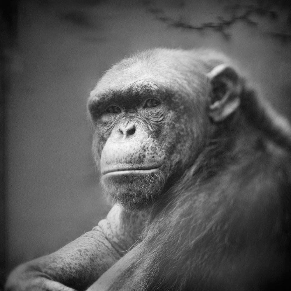 Anne Berry Gallery – RFOTOFOLIO