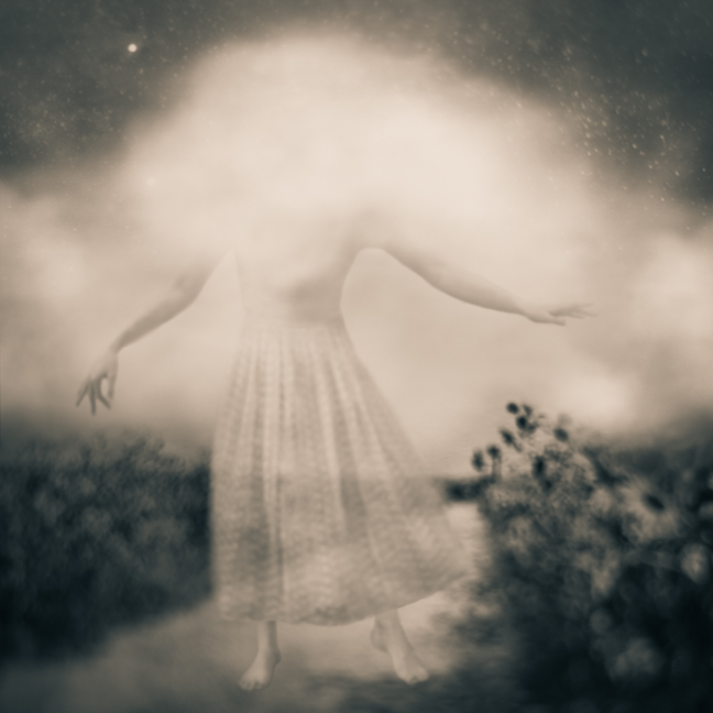Tami Bone Gallery – RFOTOFOLIO