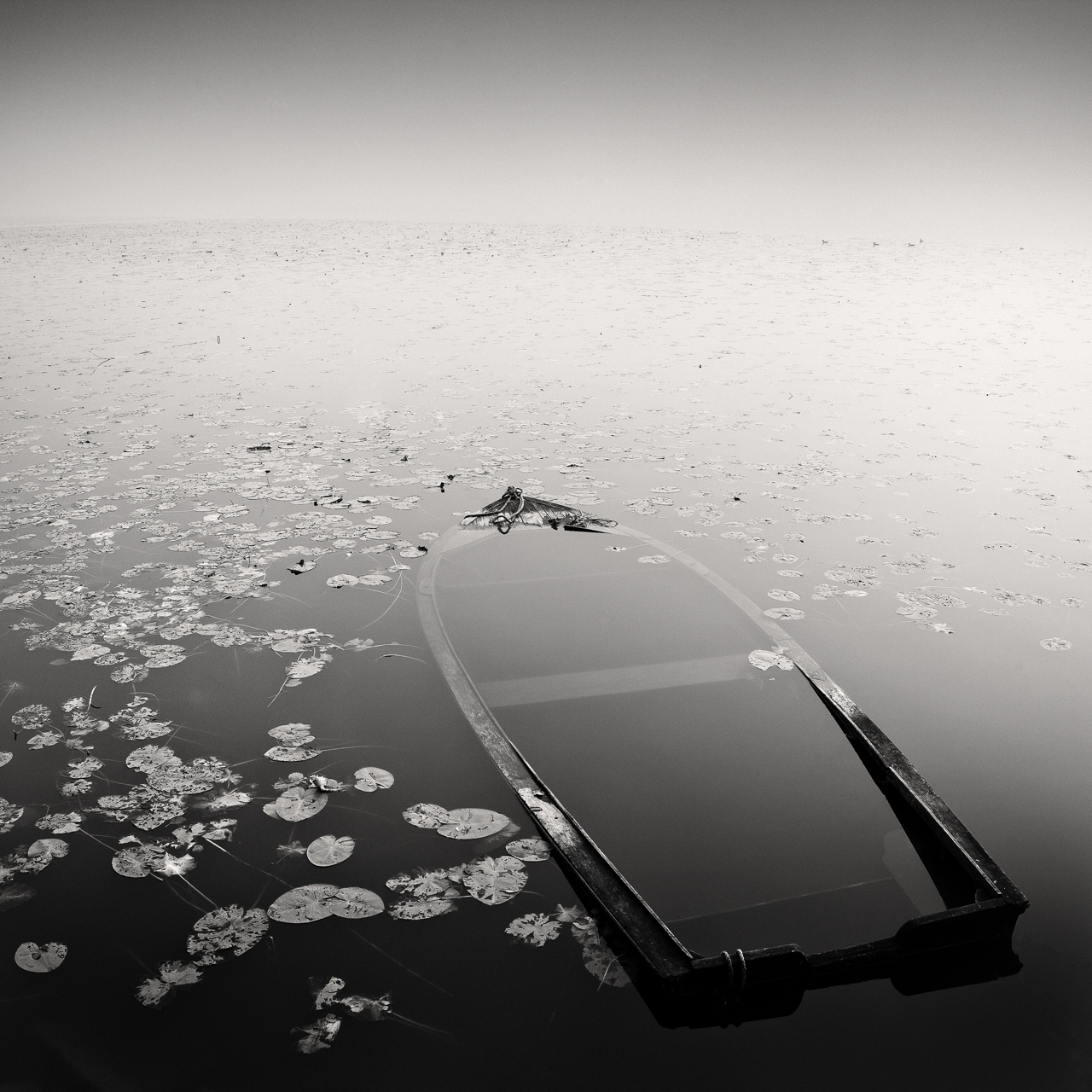 Frang Dushaj Gallery – RFOTOFOLIO