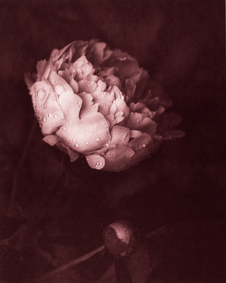 Mark Nelson Gallery – RFOTOFOLIO