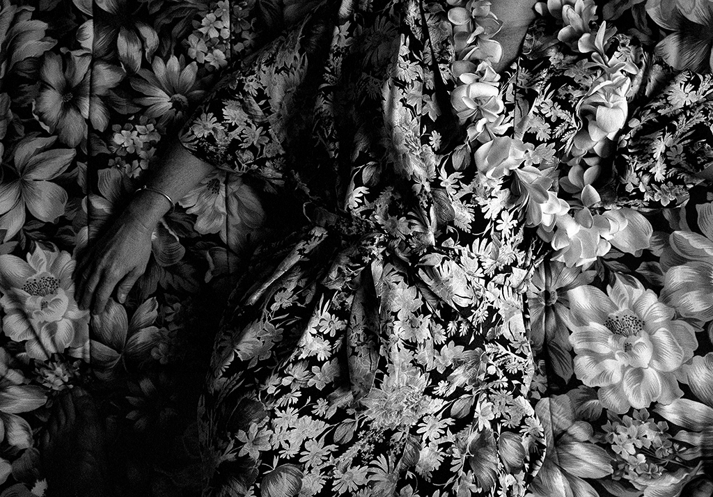 Jerry Takigawa Gallery – RFOTOFOLIO