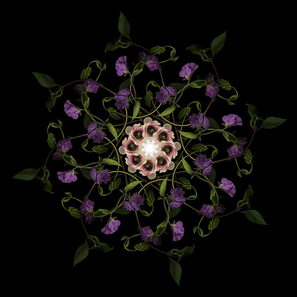 Lisa Creagh Gallery – RFOTOFOLIO