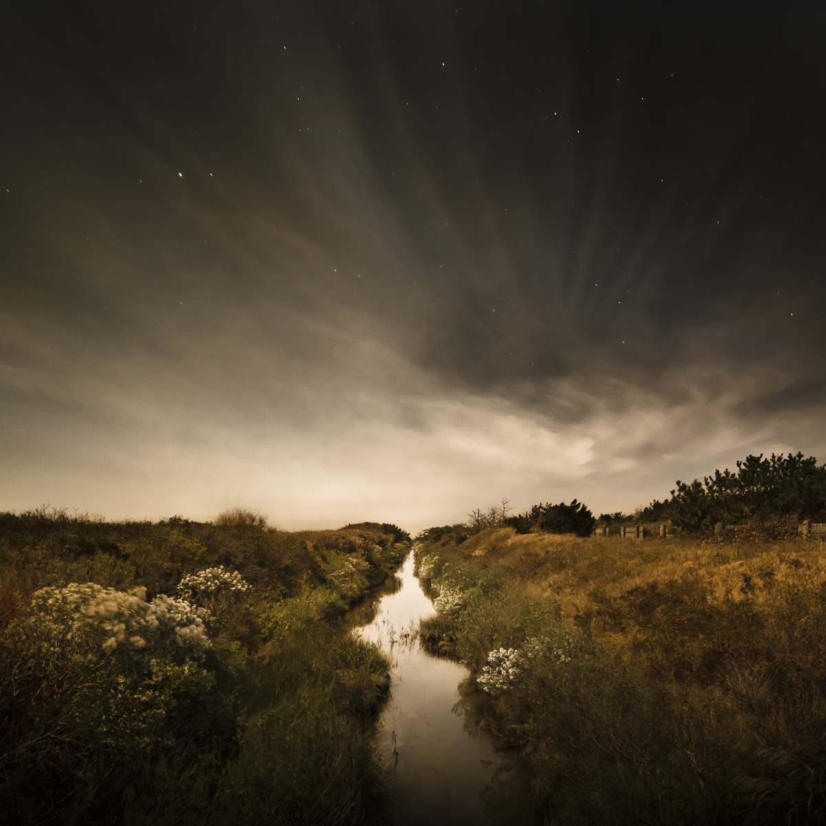 Bob Avakian – RFOTOFOLIO