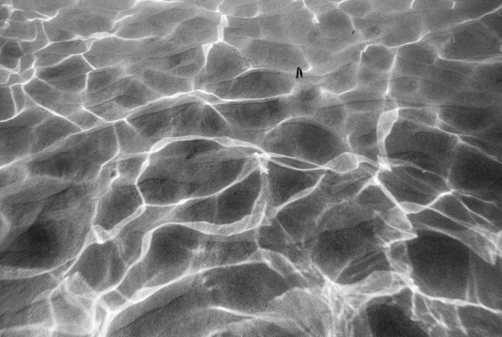 The Other Earth, Chuck Davis – RFOTOFOLIO