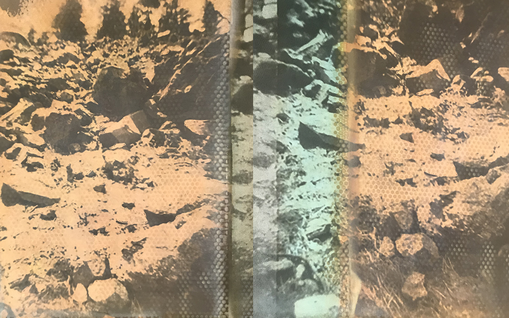 Outside.Inside © Molly McCall – RFOTOFOLIO