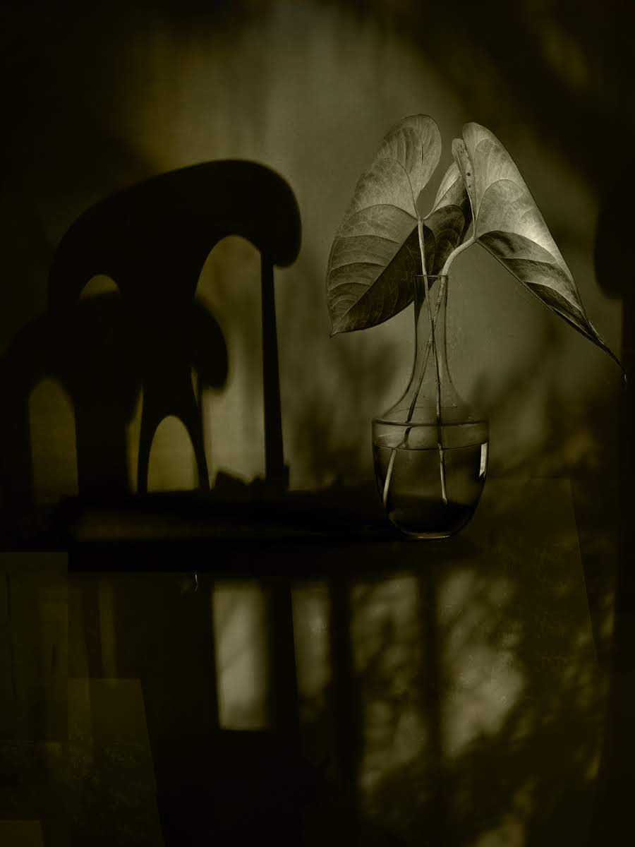 A Still and Peaceful Place – RFOTOFOLIO