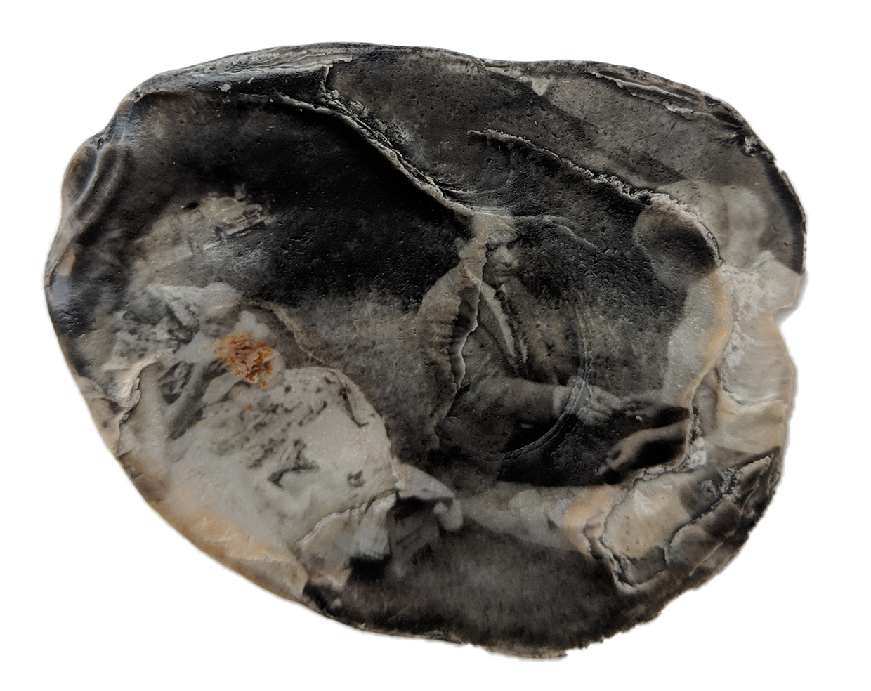 Tina Rowe – RFOTOFOLIO