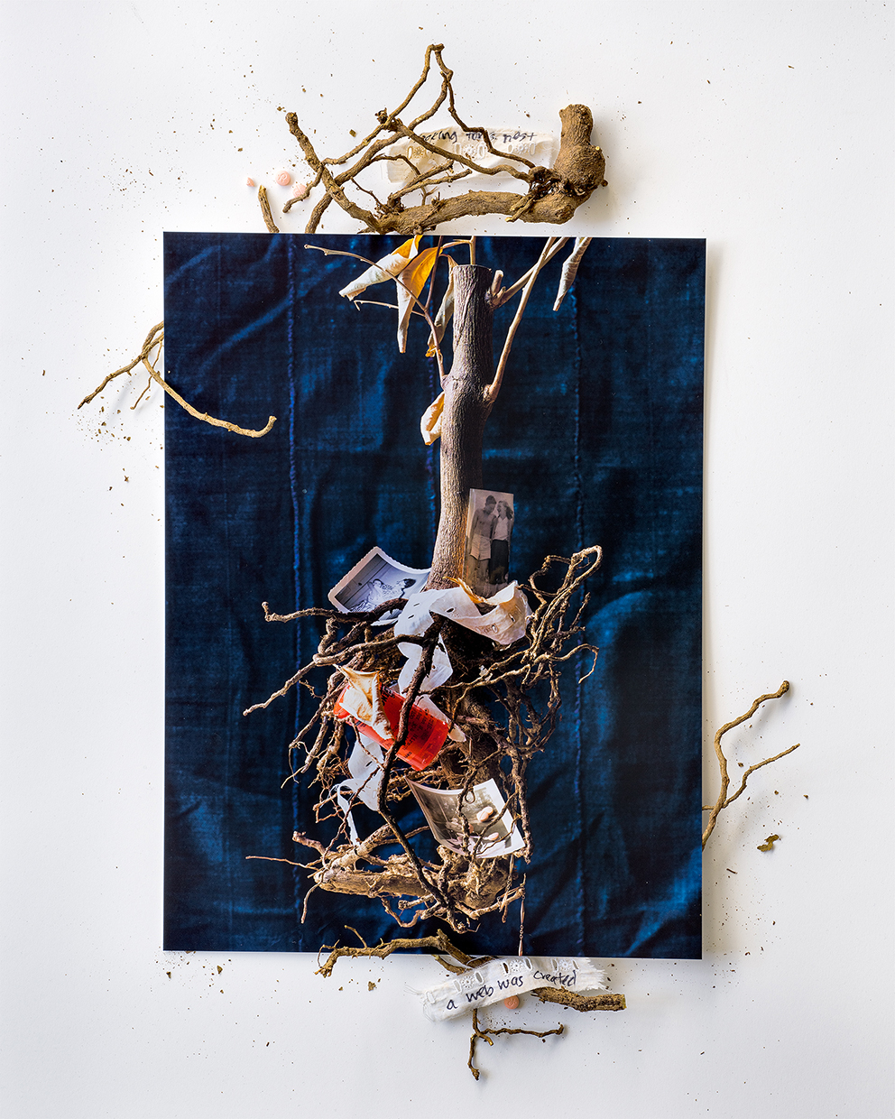 Beth Galton Gallery – RFOTOFOLIO