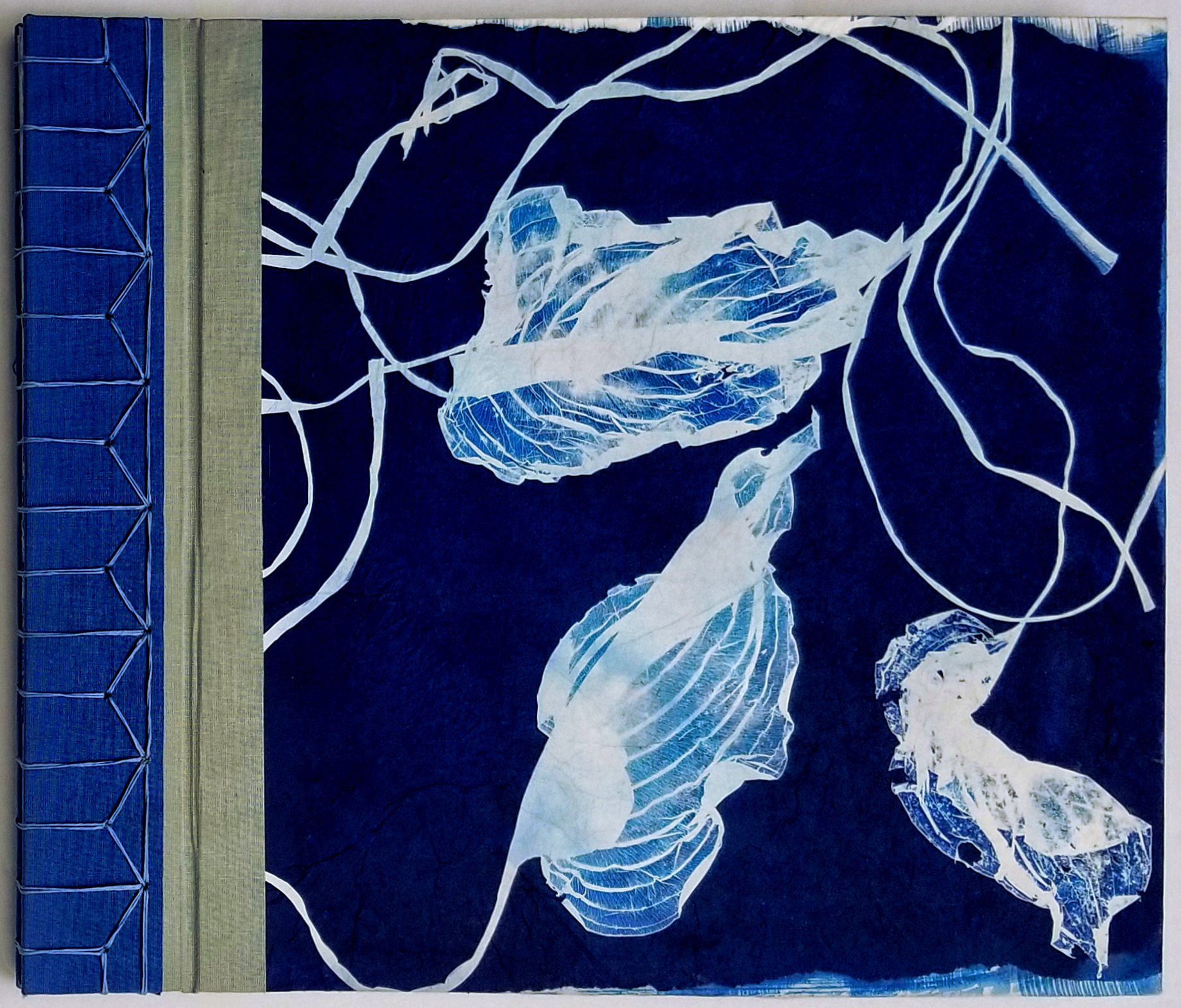 Diana Bloomfield, Books – RFOTOFOLIO