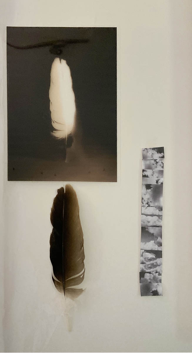 Where We Work, Molly McCall – RFOTOFOLIO