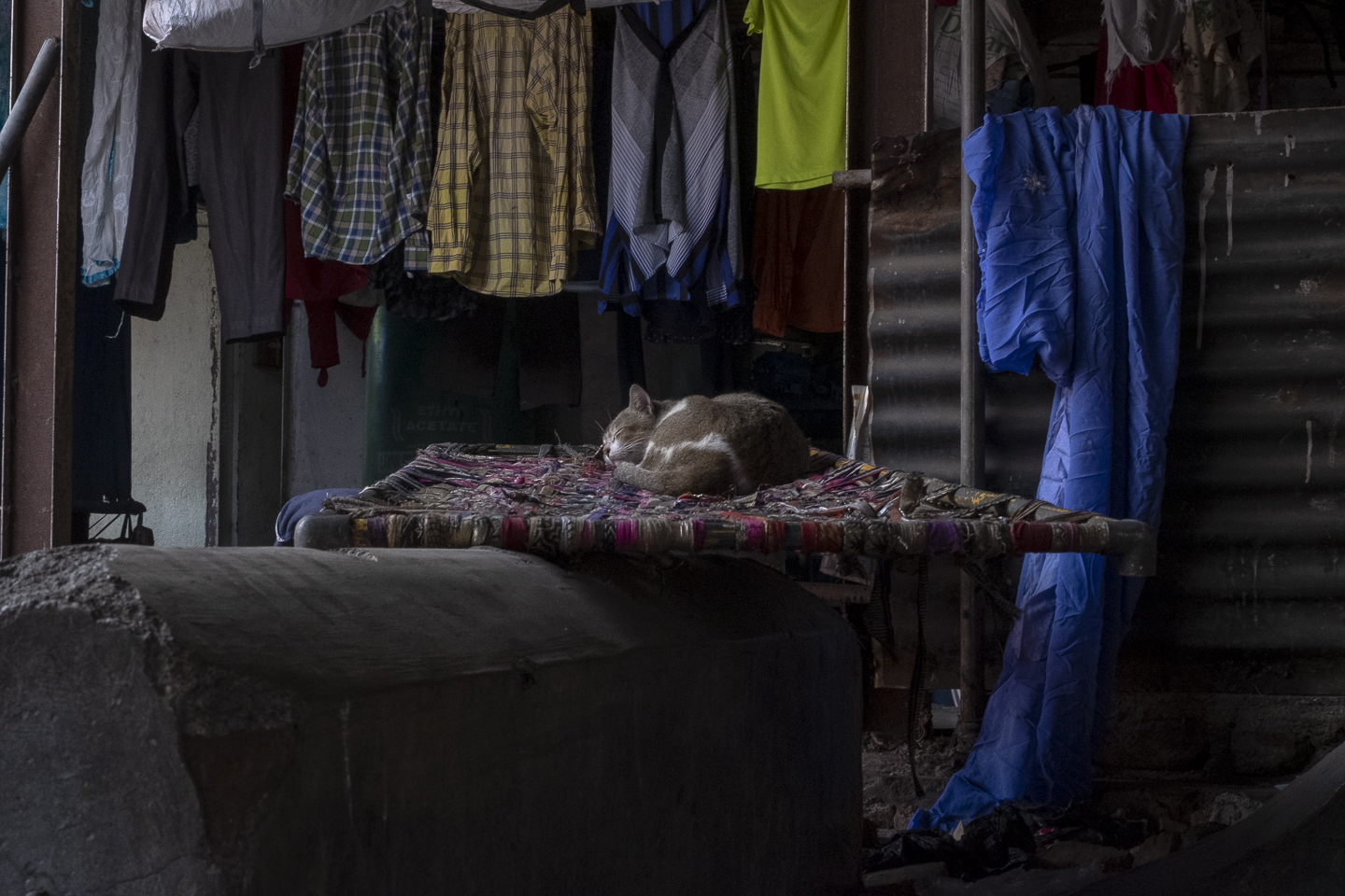 Richard Dweck Gallery – RFOTOFOLIO