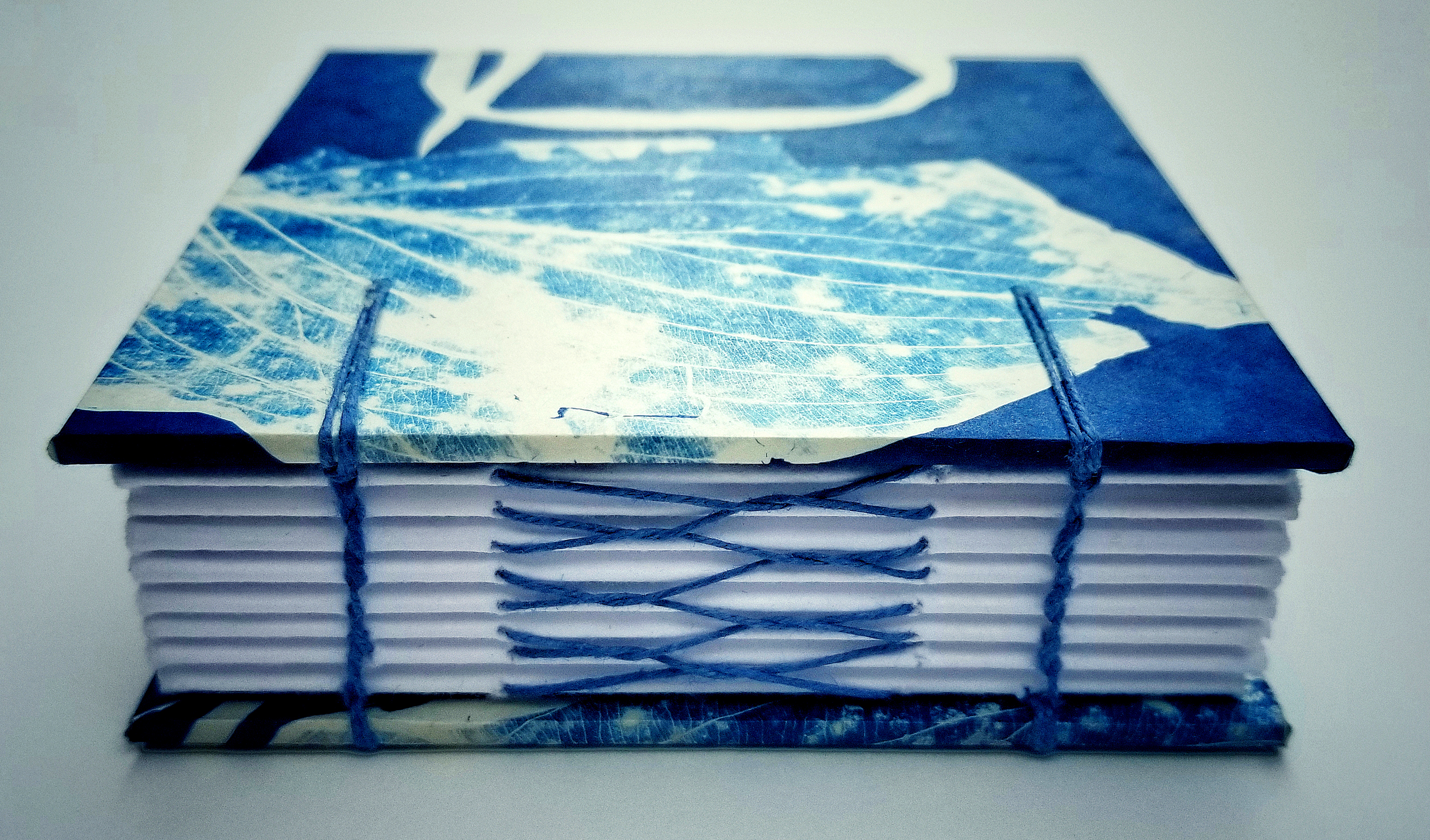 Diana Bloomfield, Books – RFOTOFOLIO
