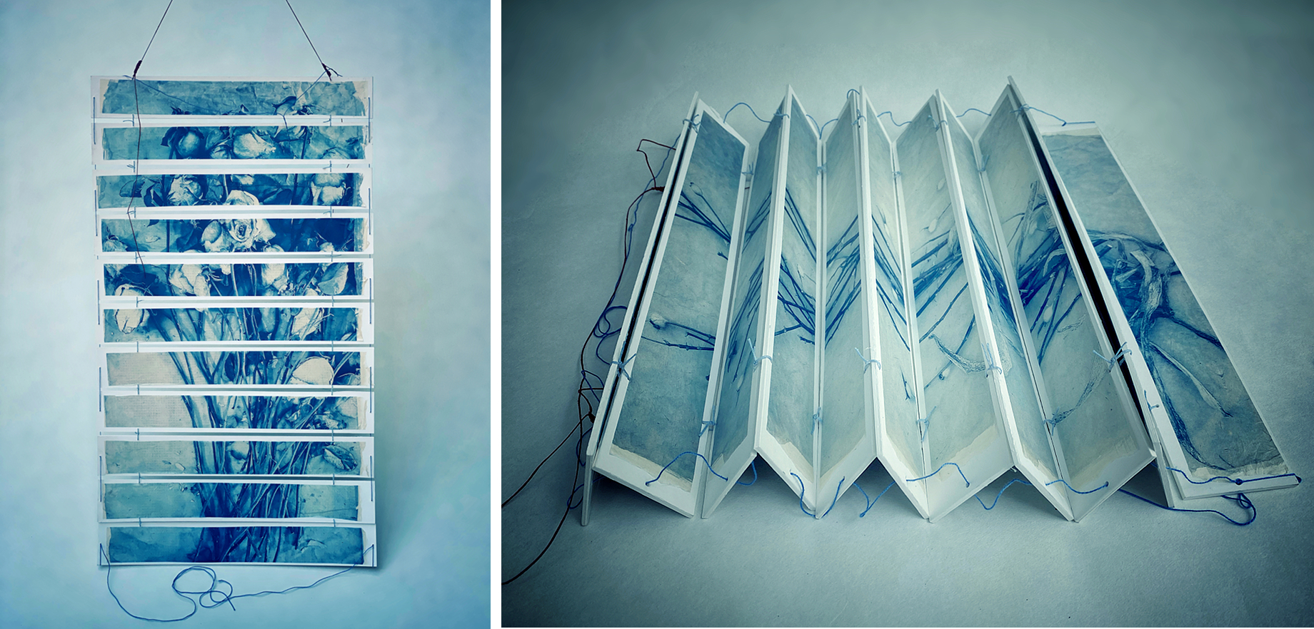 Diana Bloomfield, 2021 Denis Roussel Award Recipient – RFOTOFOLIO