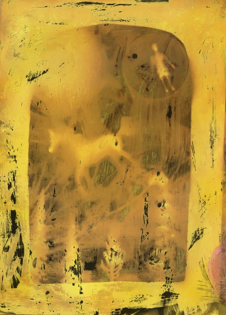 Maureen Mulhern-White Gallery – RFOTOFOLIO