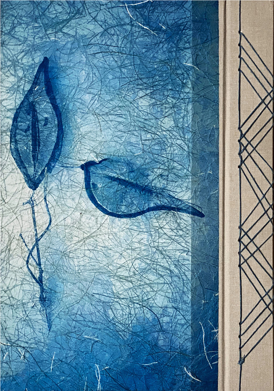 Diana Bloomfield, 2021 Denis Roussel Award Recipient – RFOTOFOLIO