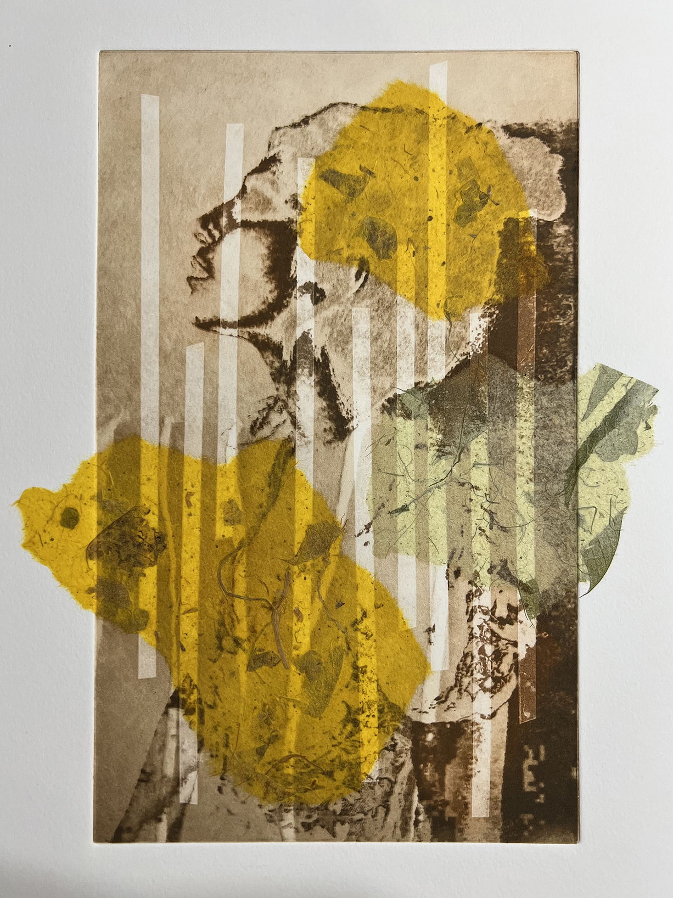 Susan de Witt Gallery – RFOTOFOLIO