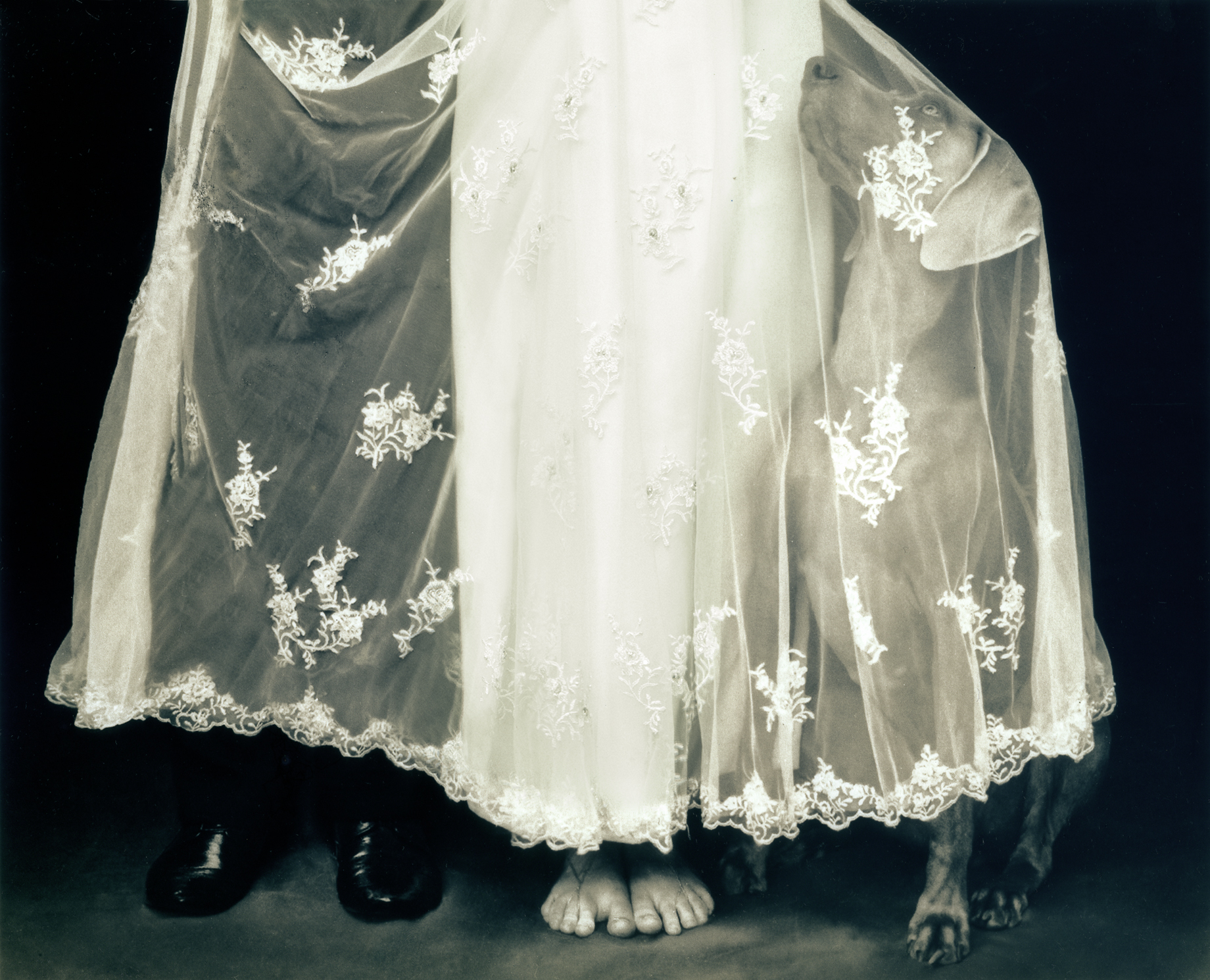 Jessica Somers Gallery – RFOTOFOLIO