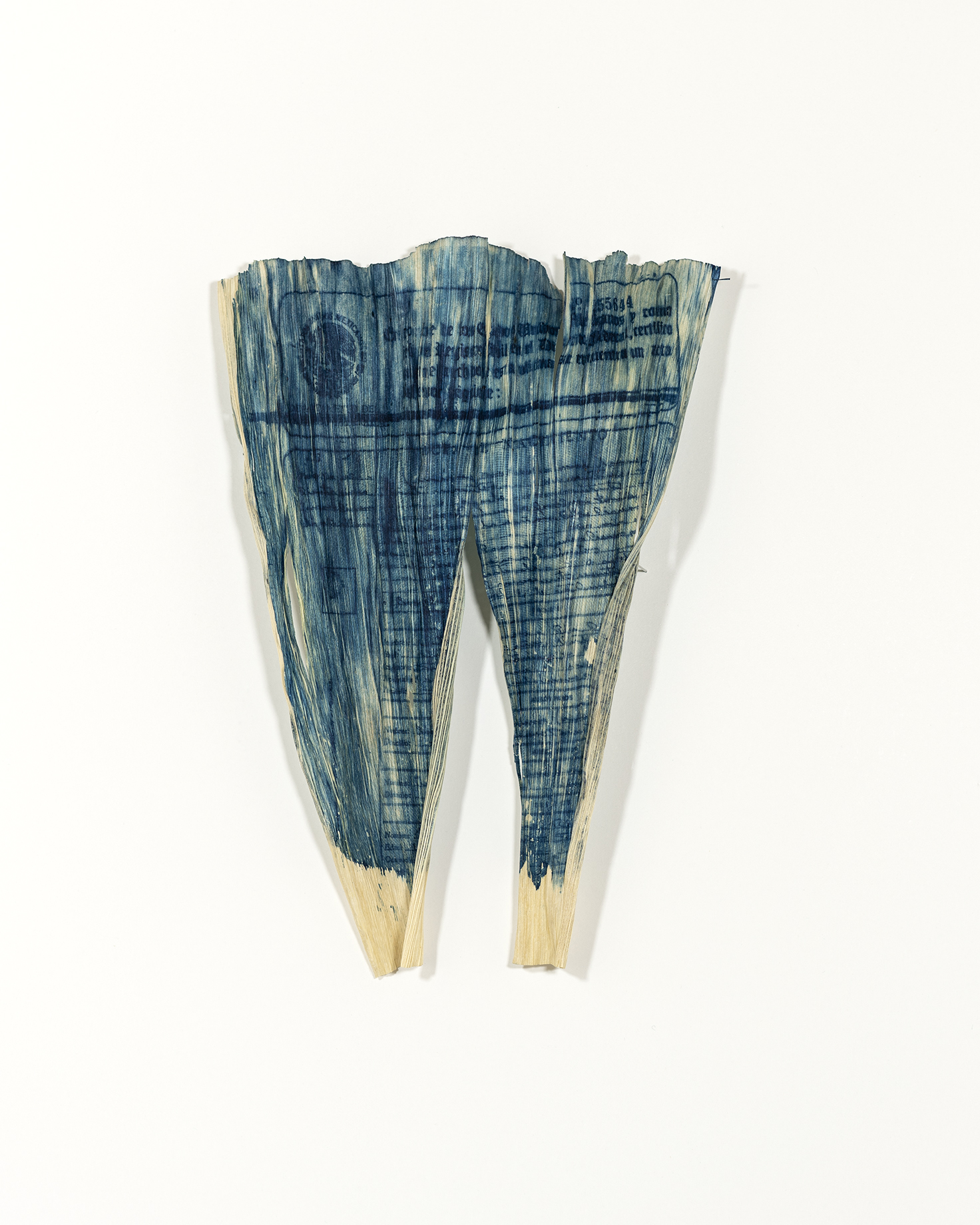 Elizabeth Pineda Gallery – RFOTOFOLIO