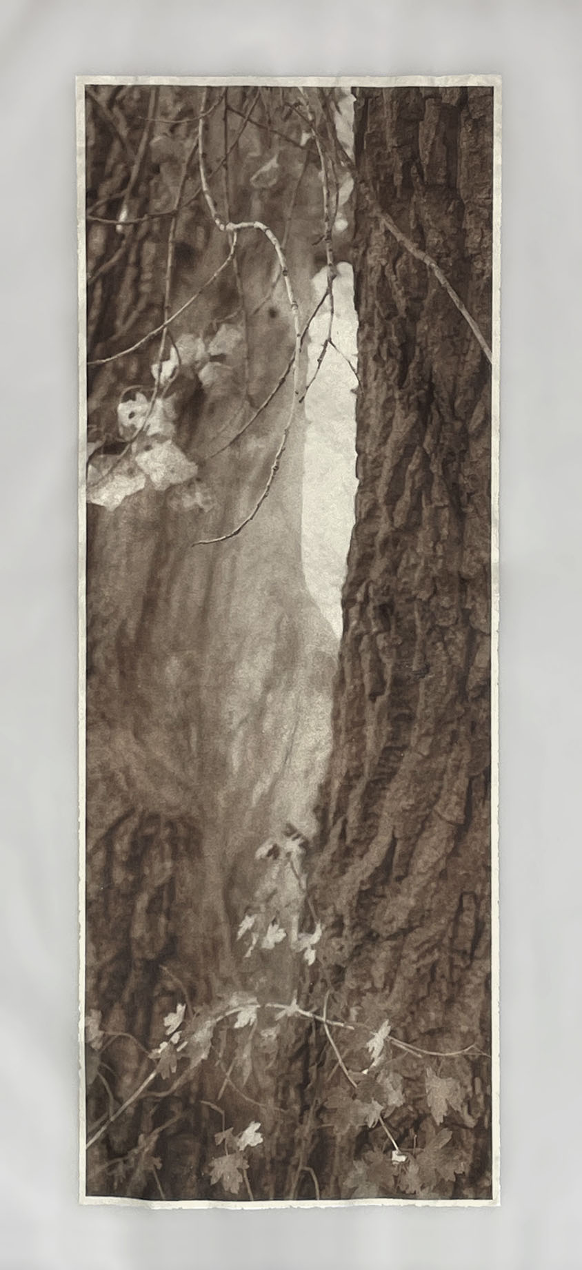 Wendy Constantine Gallery – RFOTOFOLIO