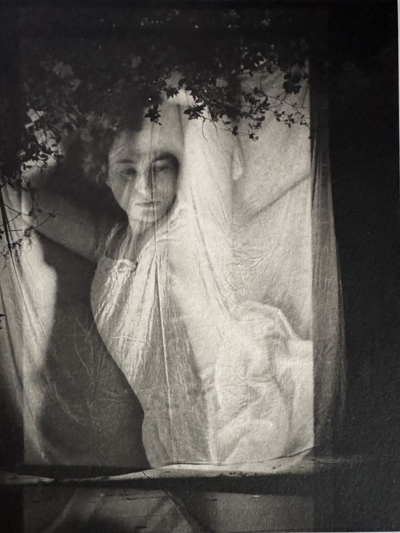 Donna Gordon – RFOTOFOLIO